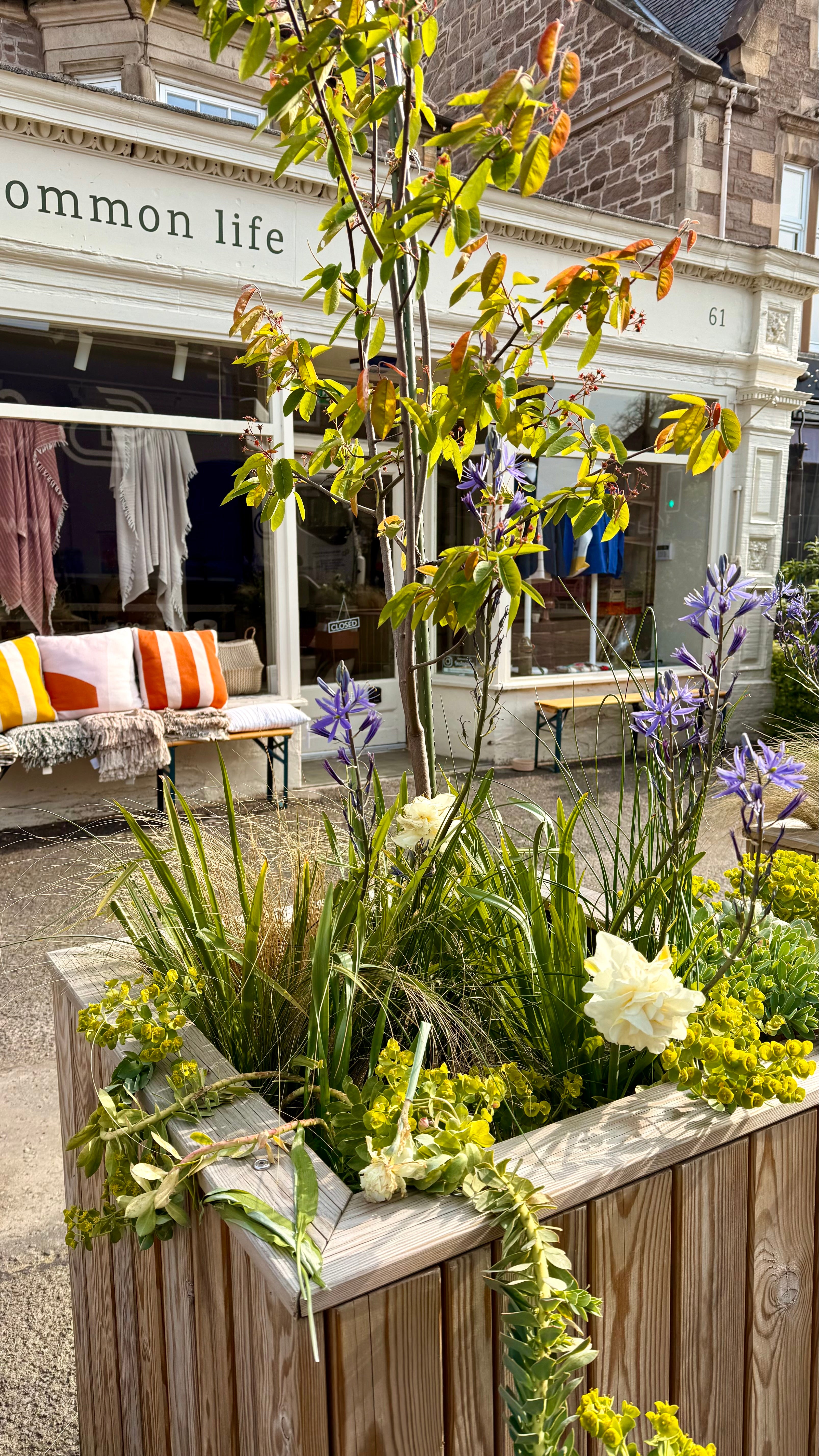 Uncommon Life Lifestyle Store – uncommon life